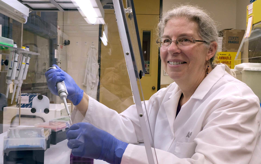 I Am a Spinner: Ginger Clark, Forensic DNA Analyst | Spin Off