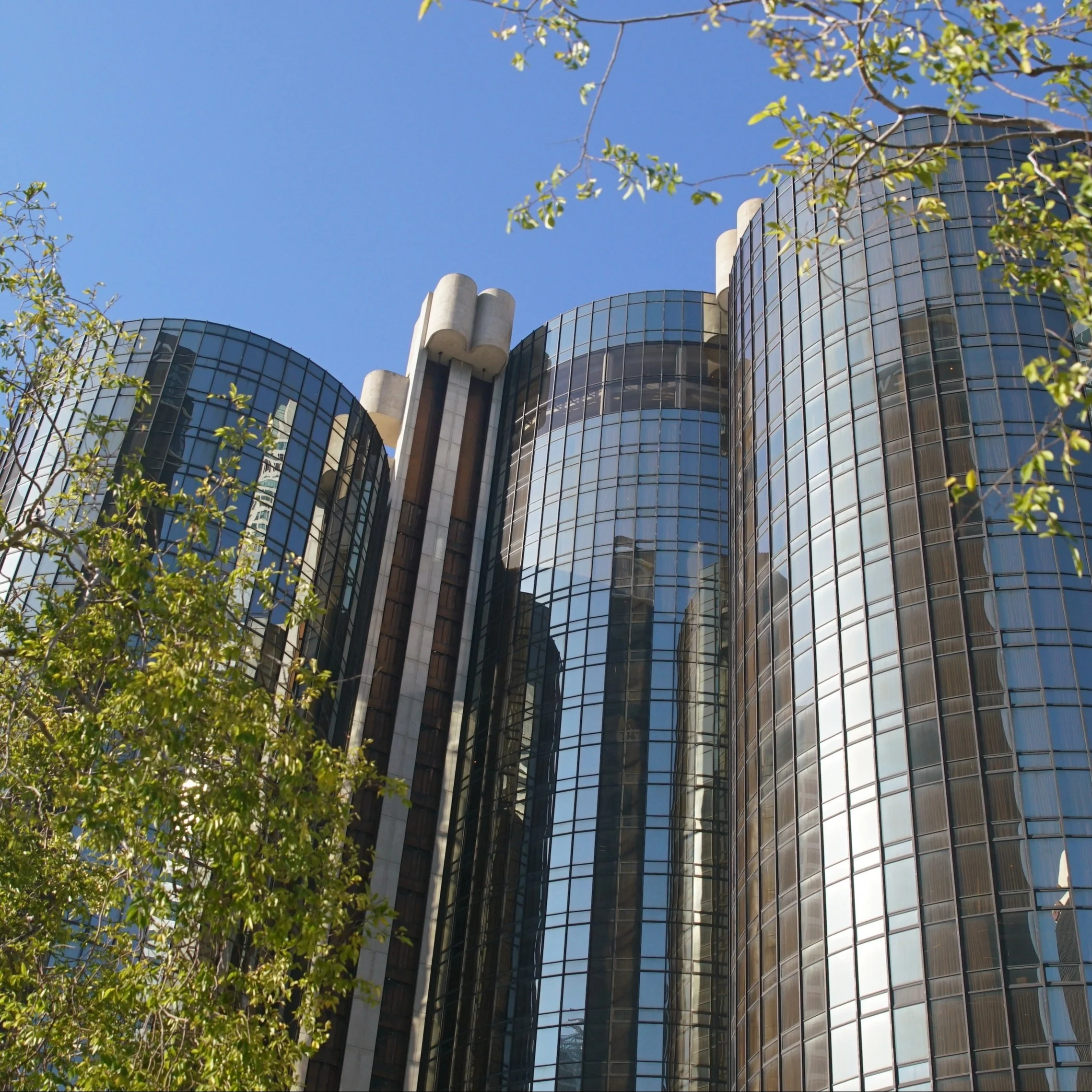 Convocation 2025 | Self-Realization Fellowship