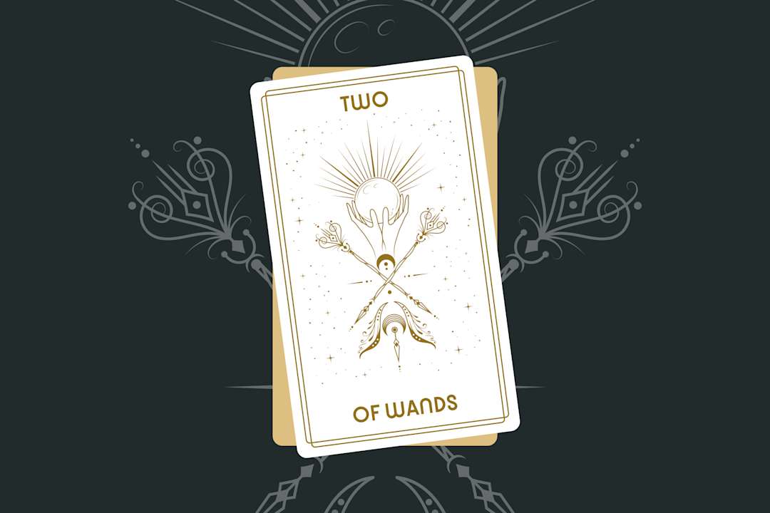 Suit of Wands Tarot Card Meanings and Keywords