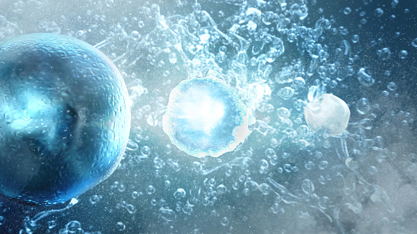 About Us (Global German)