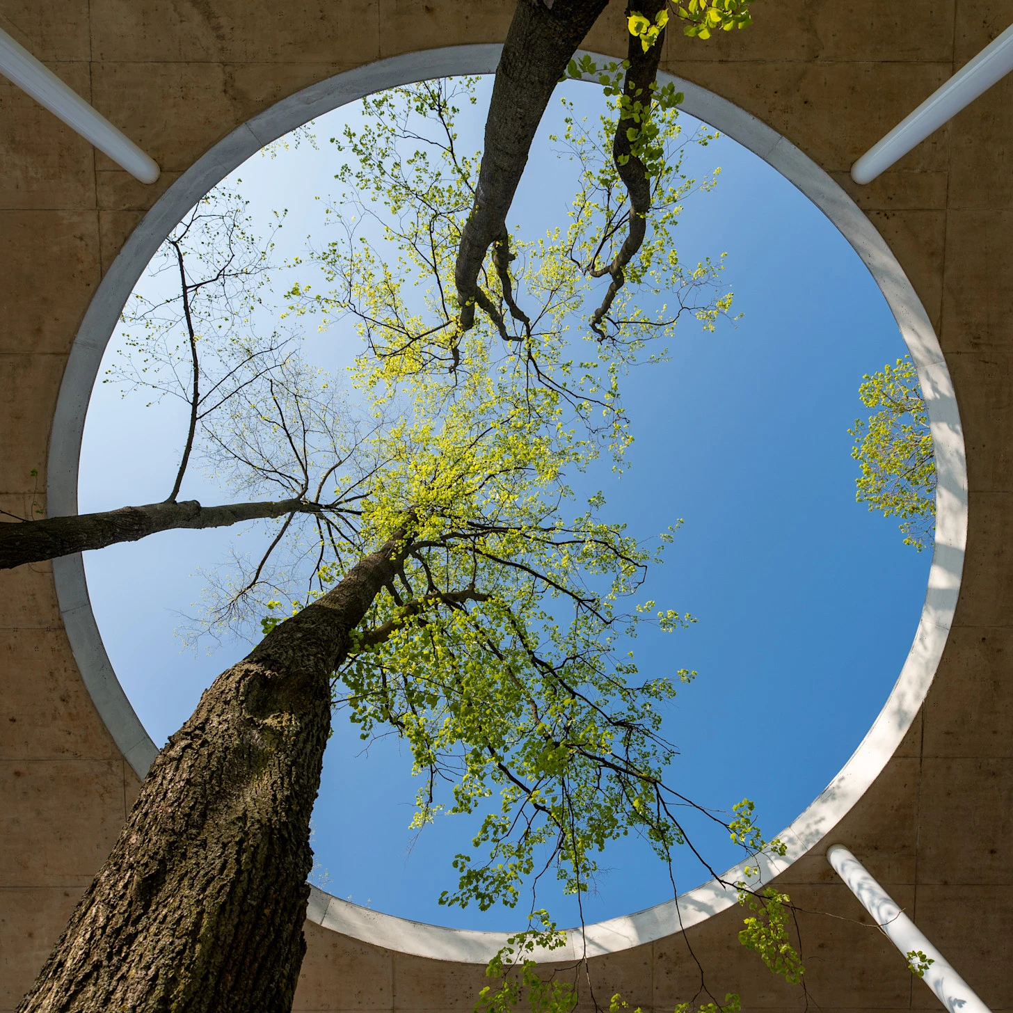 Hakkımızda - MBT Tech