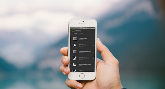 Alphaport OG - Multimedia Programmierung