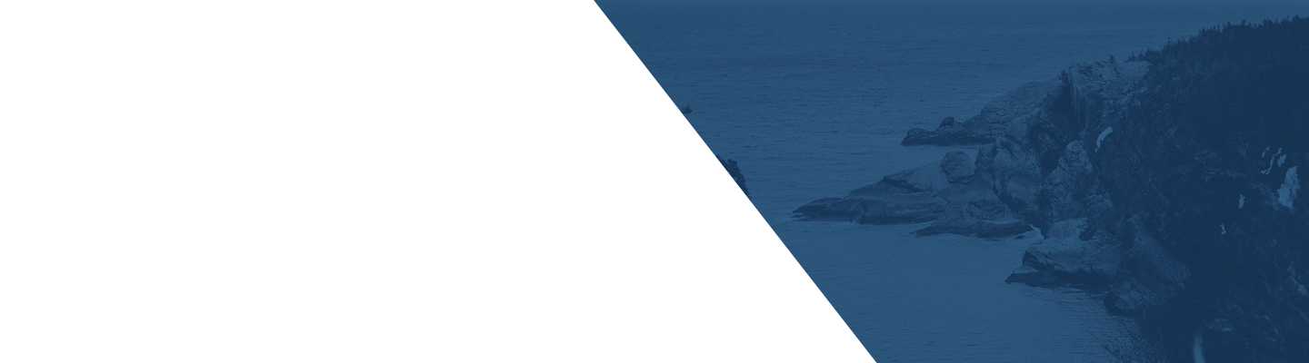 Companies | Ten Coves Capital