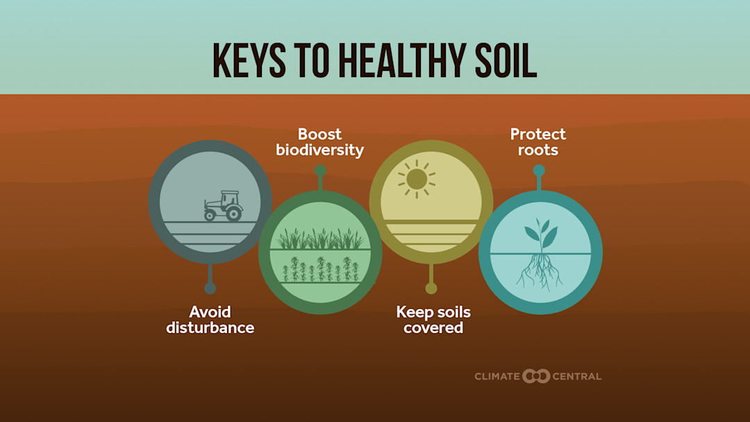 Solutions Series: Capturing Carbon in Soil | Climate Central