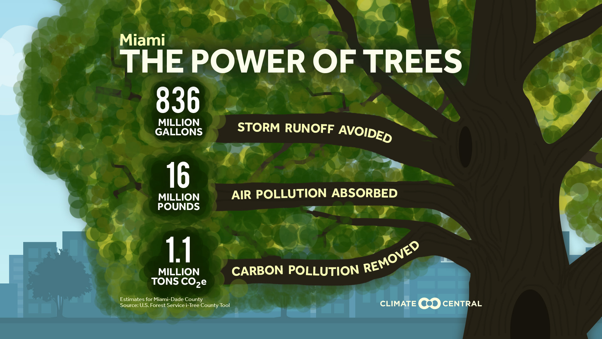 The Power of Urban Trees | Climate Central