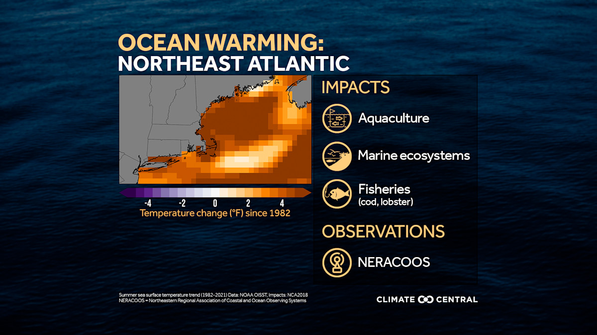 World Oceans Day | Climate Central