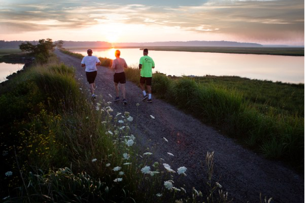 Rising seas and housing demand threaten Maine’s biggest marsh | Climate ...