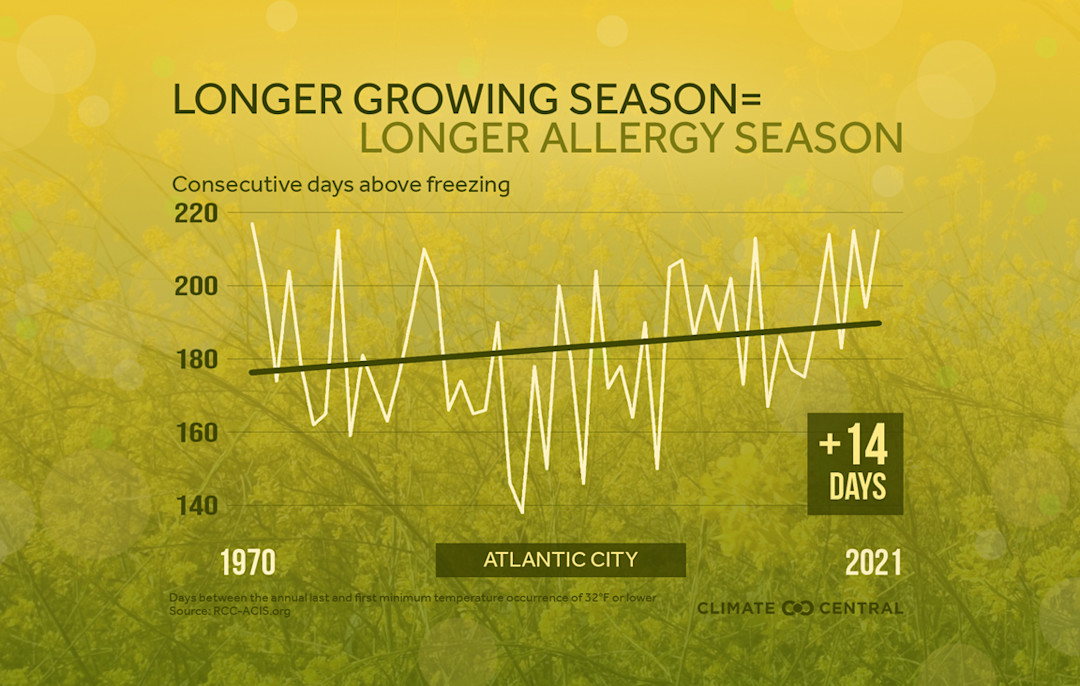 Climate change makes allergy season longer | Climate Central