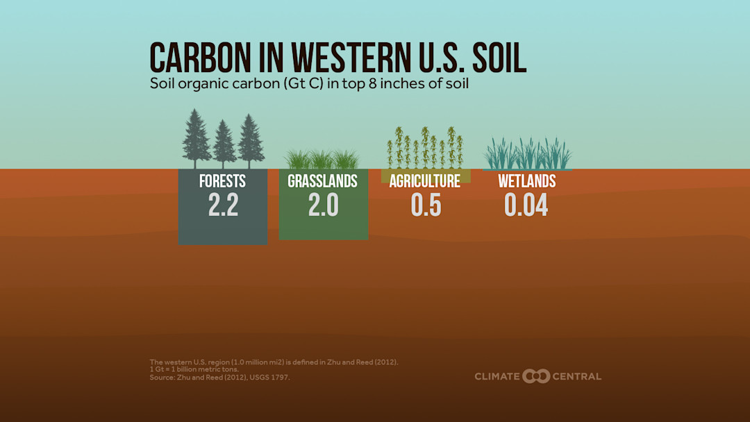 Solutions Series: Capturing Carbon in Soil | Climate Central