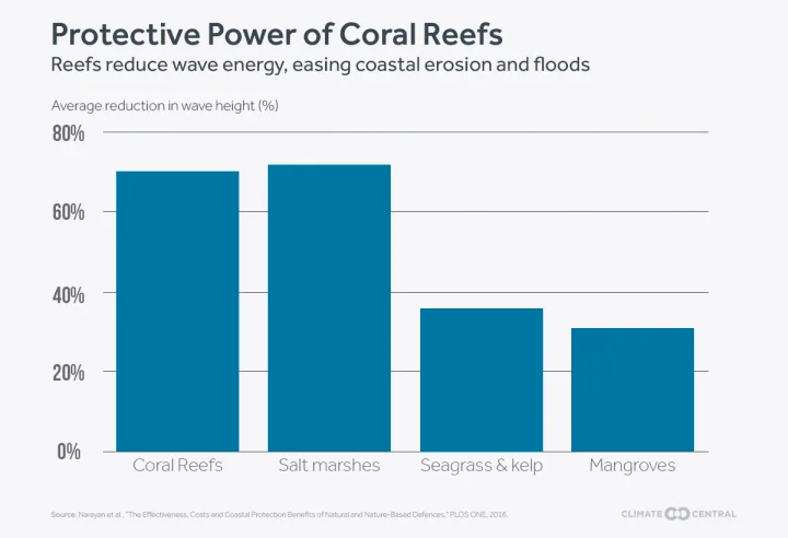 Coral Deaths Threaten Coasts With Erosion, Flooding | Climate Central