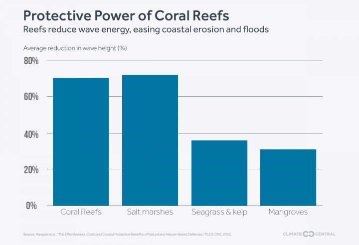Coral Deaths Threaten Coasts With Erosion, Flooding | Climate Central