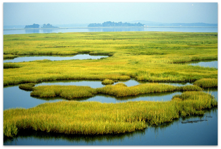 Vulnerability and Resilience of U.S. Coastal Wetlands to Sea Level Rise ...