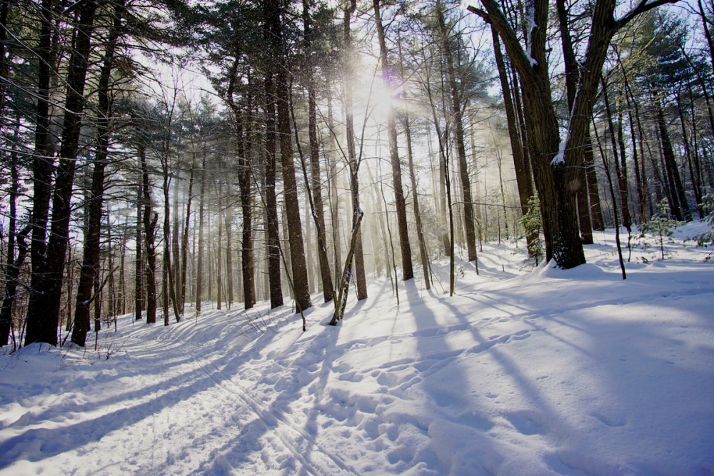 ON THIN ICE: How Climate Change is Shaping Winter Recreation | Climate ...
