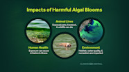 Toxic Algae Blooms In A Changing Climate Climate Central