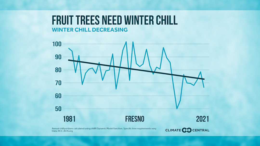 Winter Chill Brings Summer Fruit | Climate Central