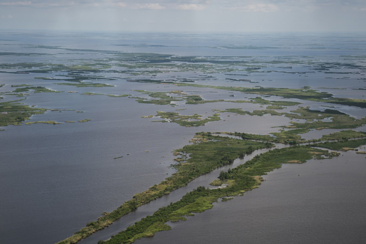 Shrinking wetlands, rising seas threaten generations of tradition for ...