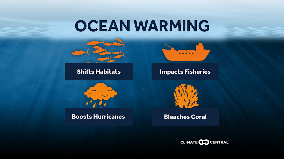 Record Ocean Heat Impacts: From Hurricanes to Corals | Climate Central