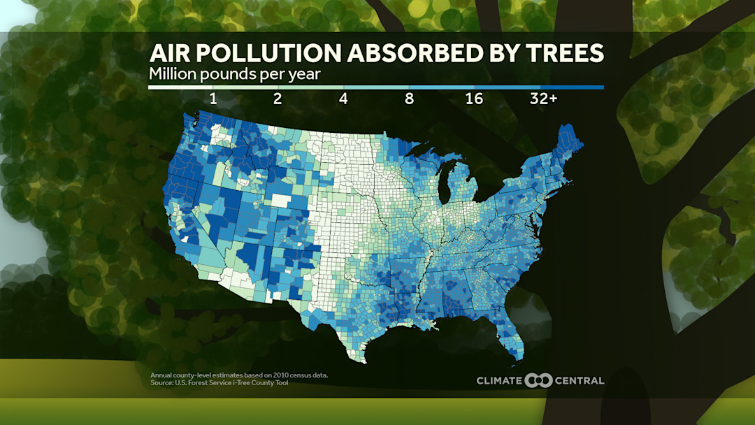 The Power of Urban Trees | Climate Central