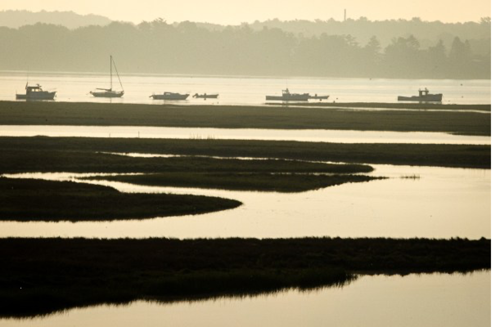 Rising seas and housing demand threaten Maine’s biggest marsh | Climate ...