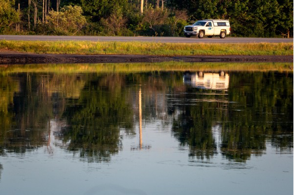 Rising seas and housing demand threaten Maine’s biggest marsh | Climate ...