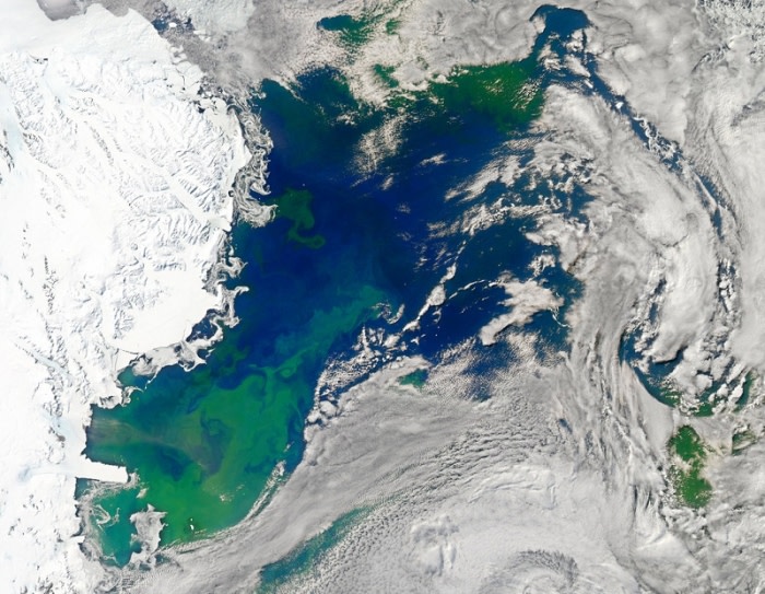 Blooming Algae Could Accelerate Arctic Warming | Climate Central