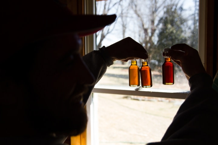 Climate Change Is Coming For Your Maple Syrup | Climate Central