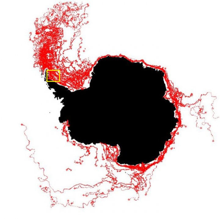 Scientists Know How Big the Larsen C Iceberg Will Be | Climate Central