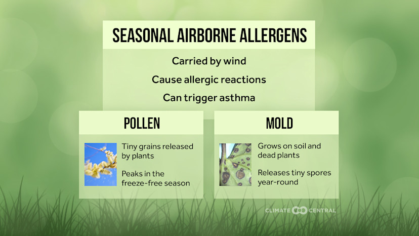 Allergy Season: Earlier, Longer, and Worse | Climate Central