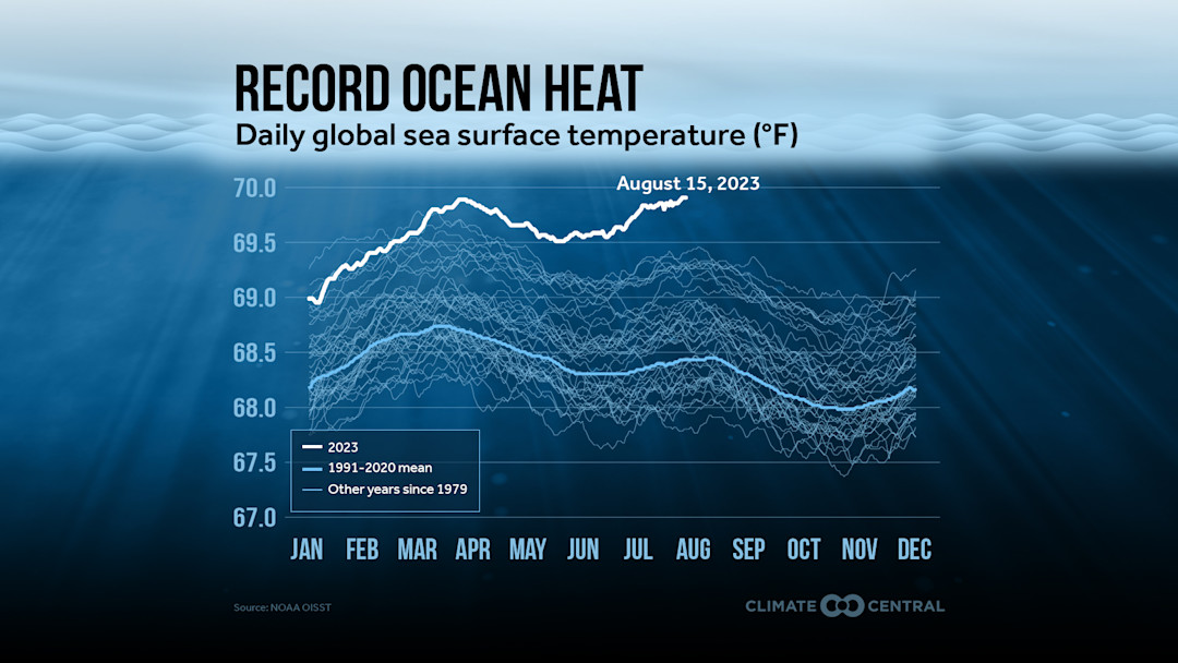 Record Ocean Heat Impacts: From Hurricanes to Corals | Climate Central