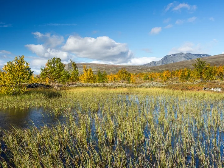 Melting Arctic Could Supercharge Climate Feedback Loop | Climate Central