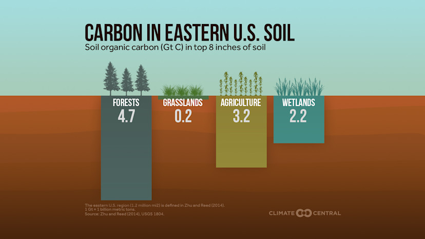 Solutions Series: Capturing Carbon in Soil | Climate Central