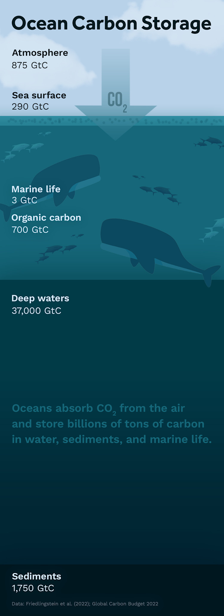 World Oceans Day | Climate Central
