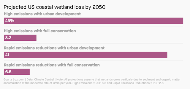 US coastal wetlands are rapidly disappearing. Here's what it'll take to ...