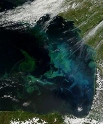 Oceans Storing More Carbon than Previously Thought | Climate Central