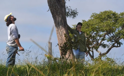 Industrial Farming Plows Up Brazil’s ‘Underground Forest’ | Climate Central