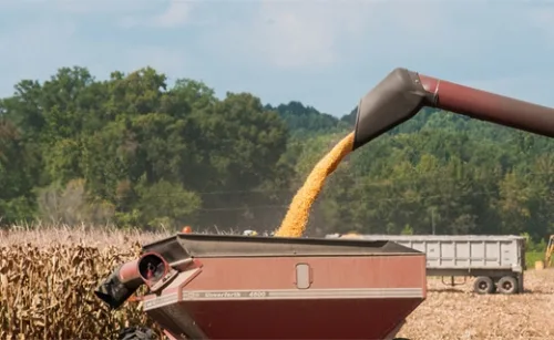 Climate Change Threatens Almighty U.S. ‘King Corn’ | Climate Central