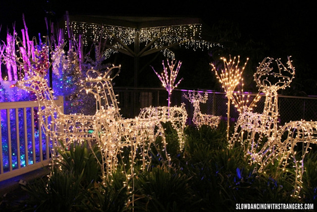 What Holiday Lights Look Like To NASA | Climate Central