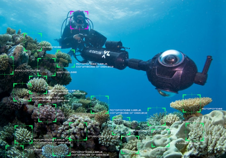 A Computer Just Changed the Coral Research Game | Climate Central