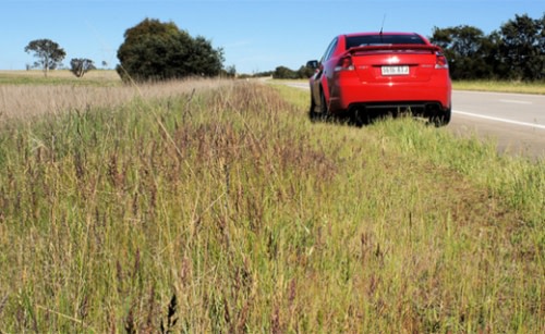 Roadside Land Offers Huge Carbon Storage Potential | Climate Central