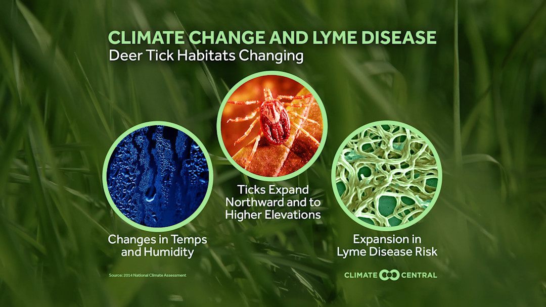 Tick Migration | Climate Central