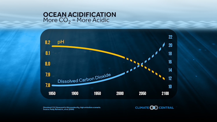 World Oceans Day & Ocean Acidification | Climate Central