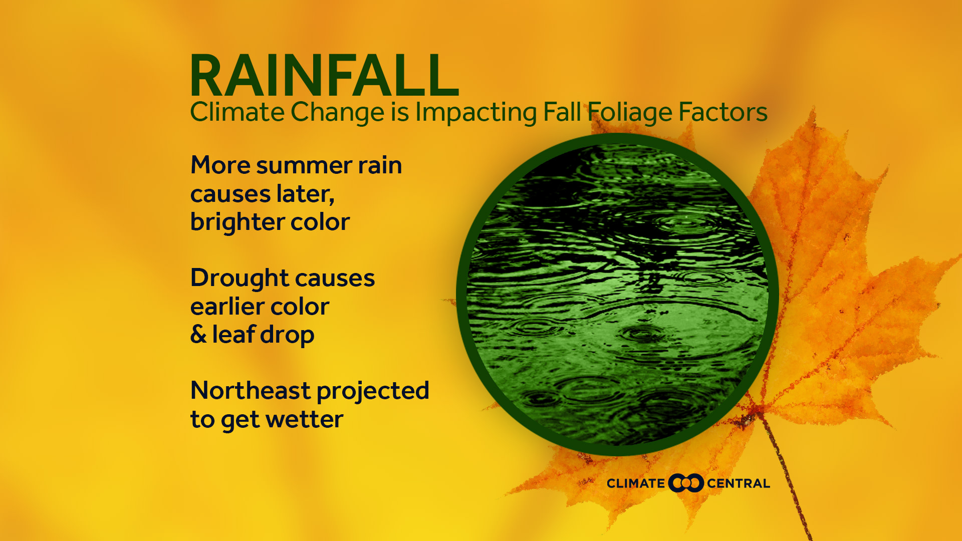 Fall Foliage & Climate Change | Climate Central