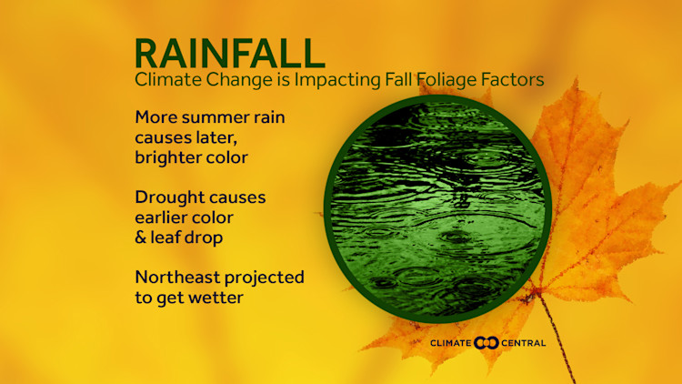 Fall Foliage & Climate Change | Climate Central