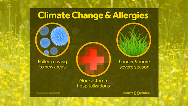 Allergies Ahead (Pollen) | Climate Central