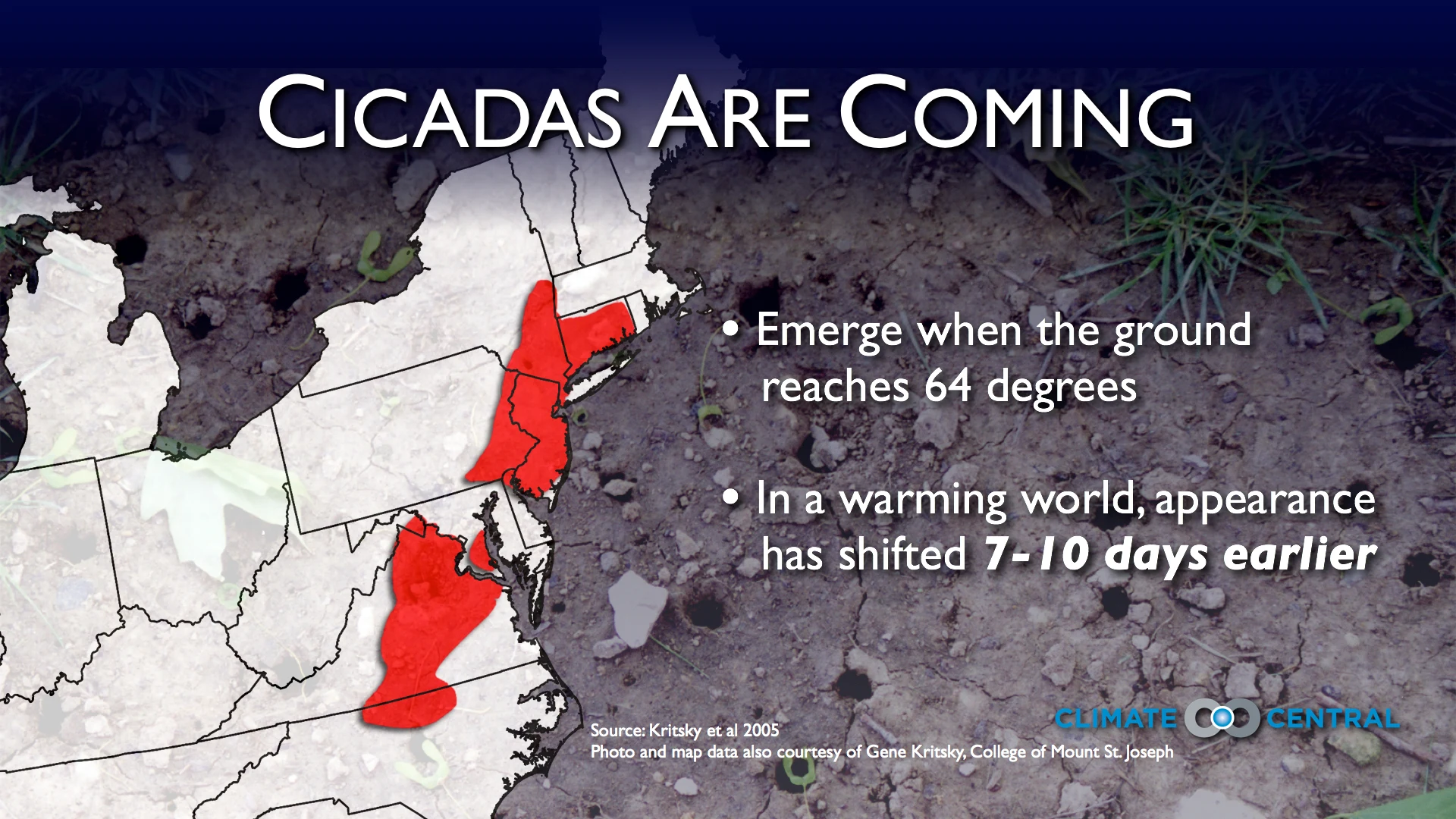 Cicadas | Climate Central