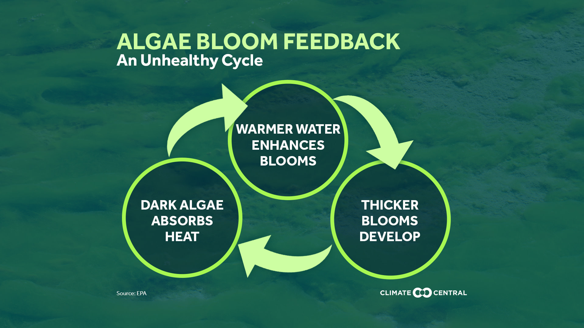 Algae Blooms | Climate Central