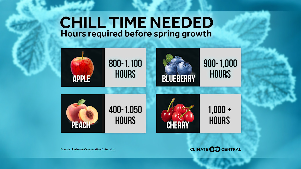 Fruit Trees Need Winter | Climate Central