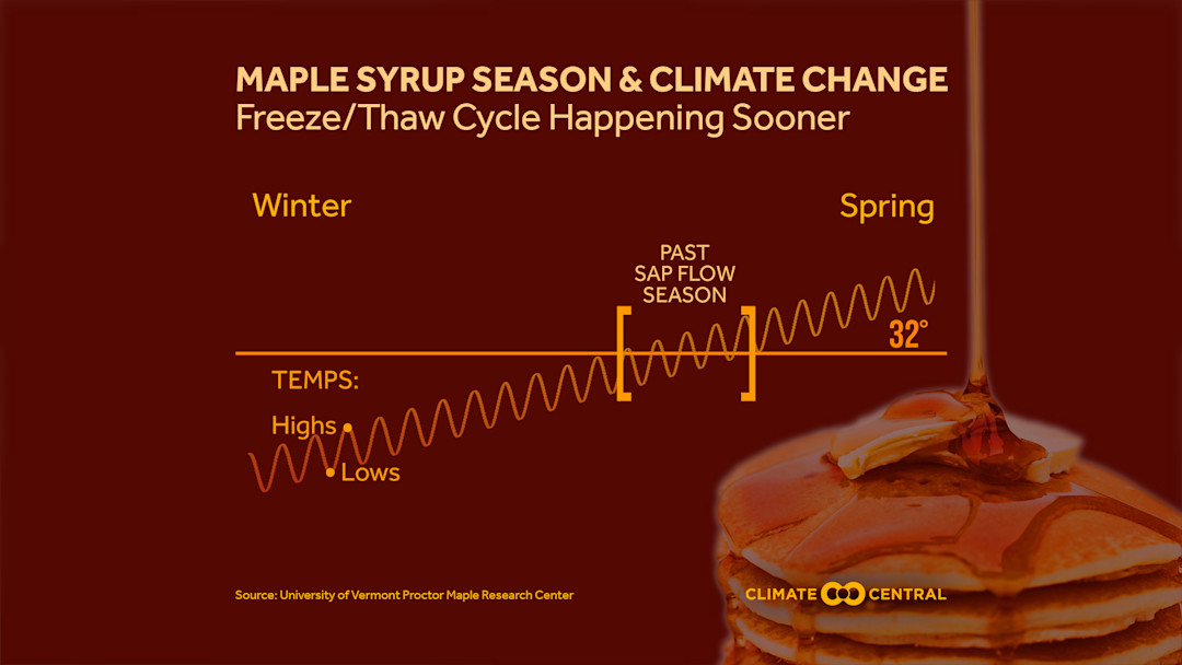 Maple Syrup Season | Climate Central