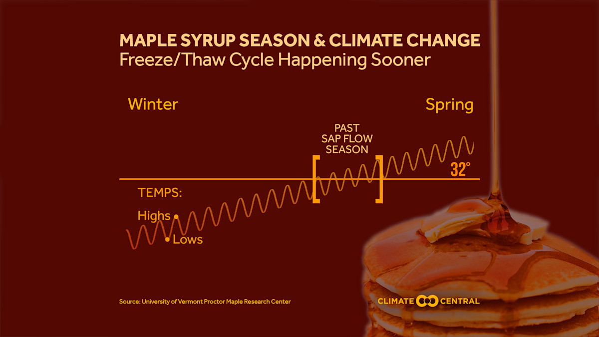 Maple Syrup Season | Climate Central
