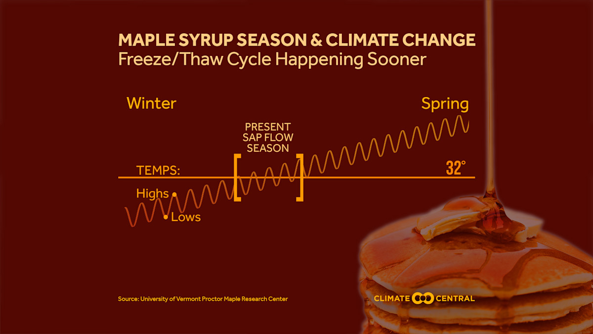 Maple Syrup Season | Climate Central